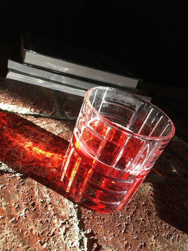 The Negroni and me. And Frankie.