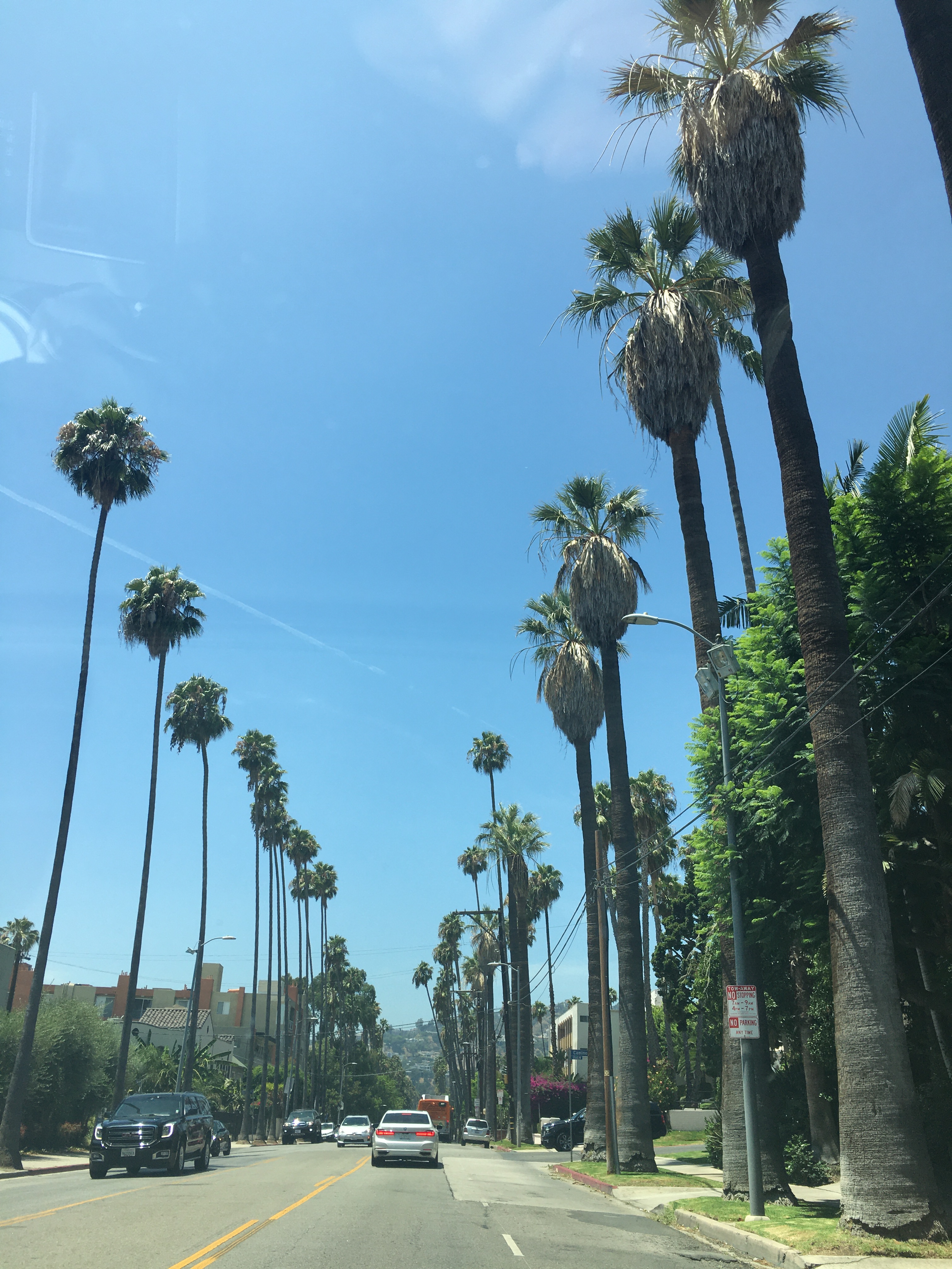 Hey there, folks visiting for the first time! – Deb McCaskey