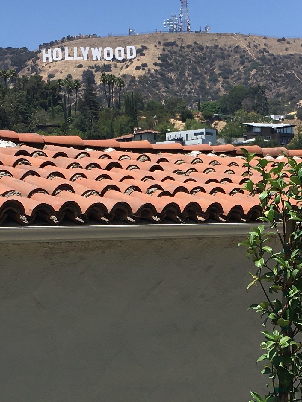 Hey there, folks visiting for the first time! – Deb McCaskey