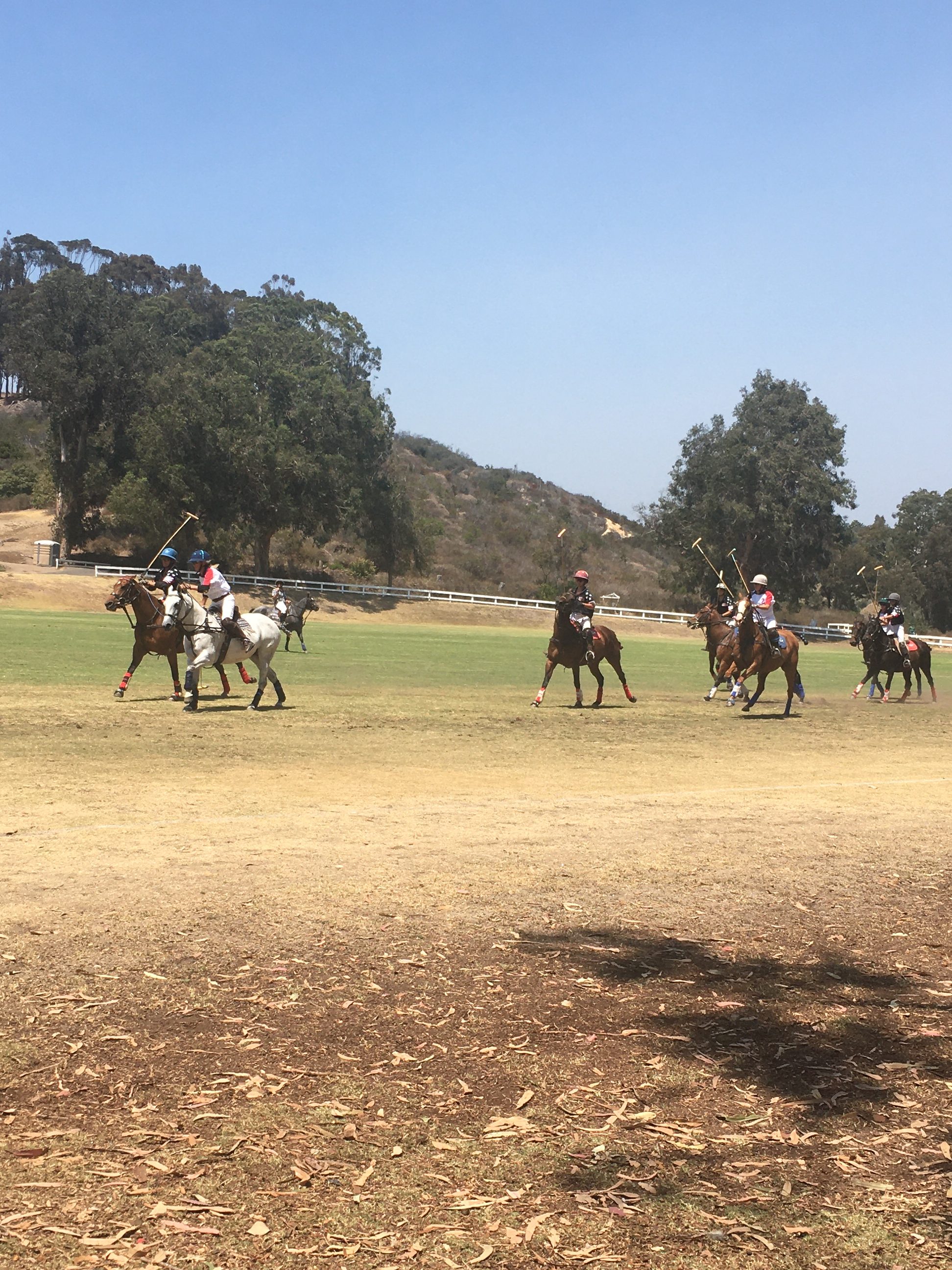 In the footsteps of Will Rogers – Deb McCaskey